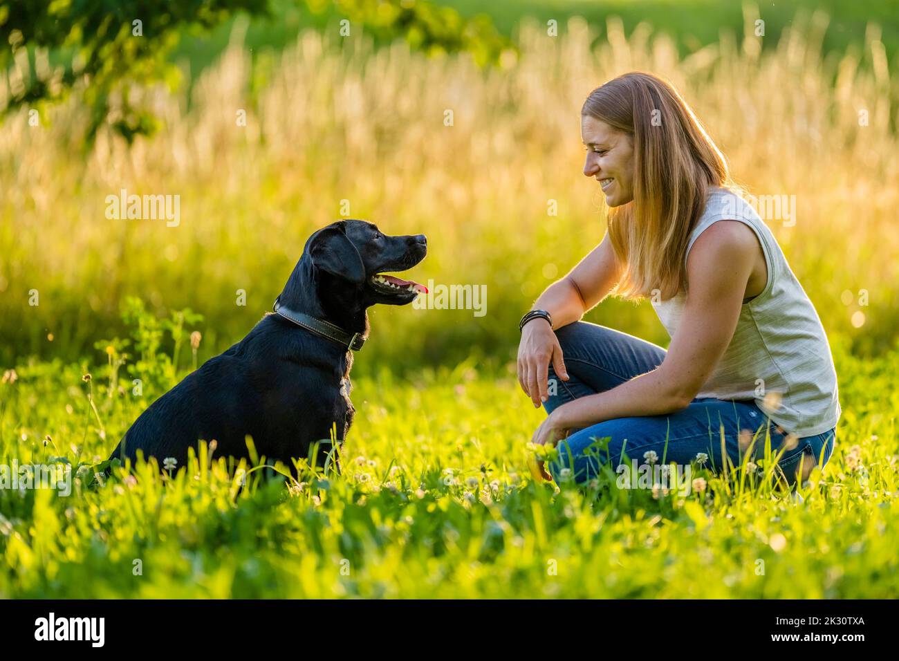 Happy woman with Black Labrador on meadow Stock Photo - Alamy