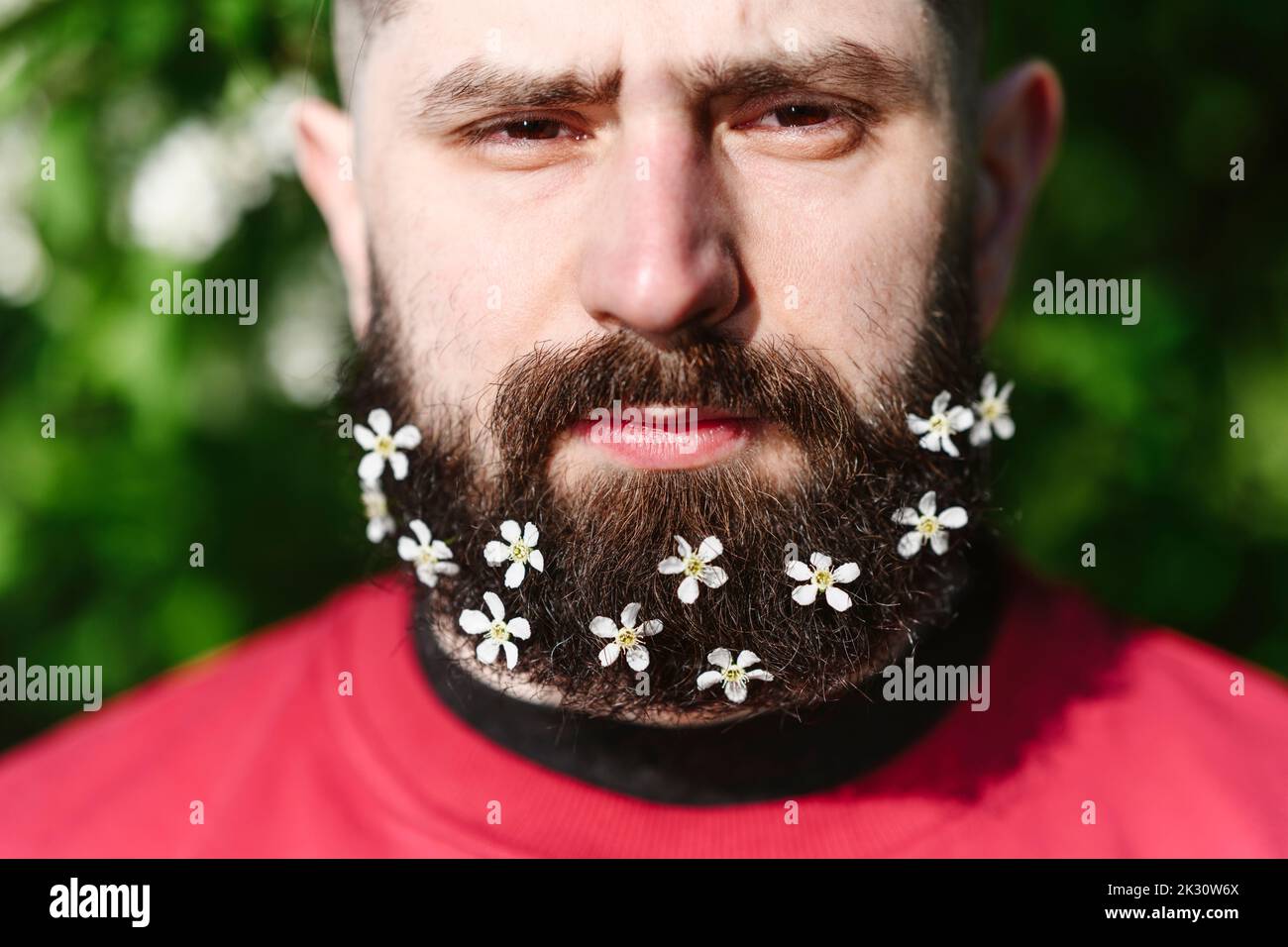 Small white flowers hi-res stock photography and images - Alamy