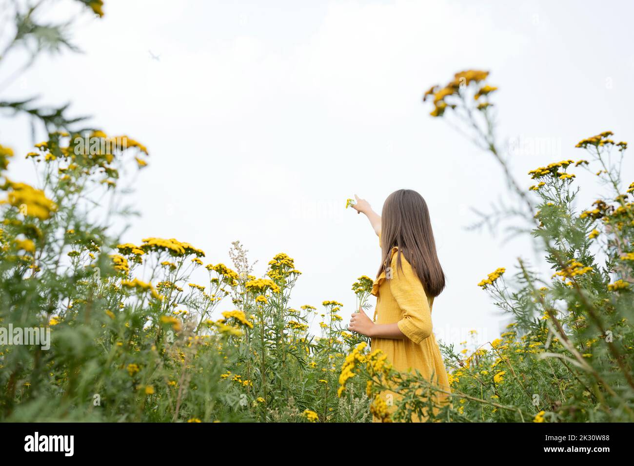 Girl pointing at sky standing in field Stock Photo - Alamy
