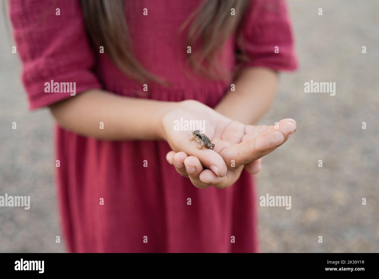 Frog in hand hi-res stock photography and images - Alamy