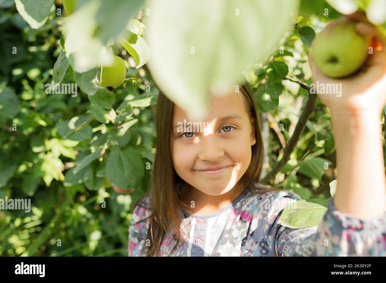 Children apple tree hi-res stock photography and images - Alamy