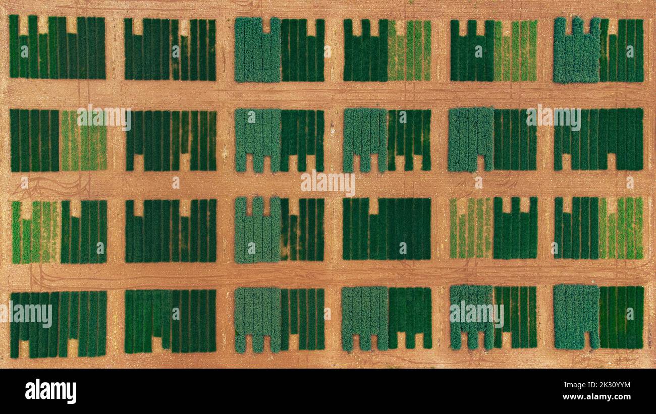Seed pattern hi-res stock photography and images - Alamy