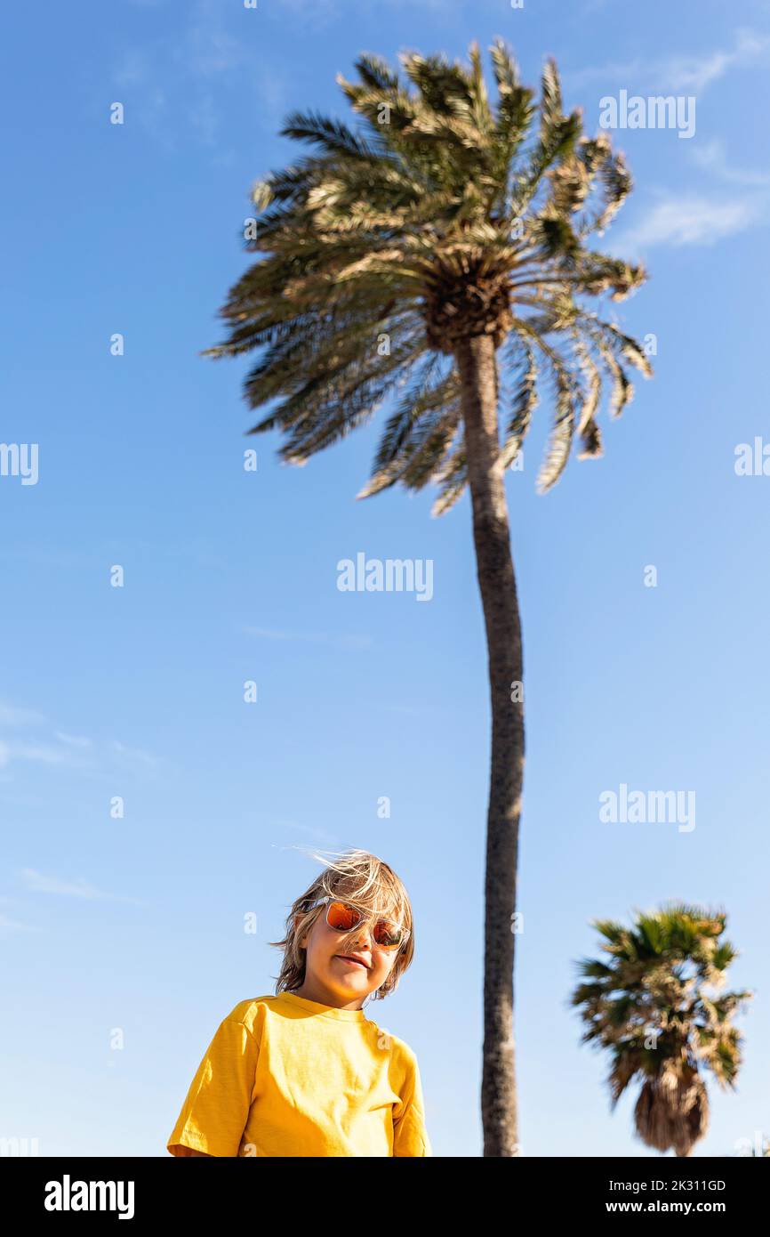 Boy on palm tree hi-res stock photography and images - Alamy