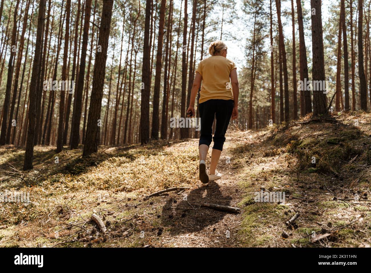 Mature woman hiking in forest Stock Photo - Alamy