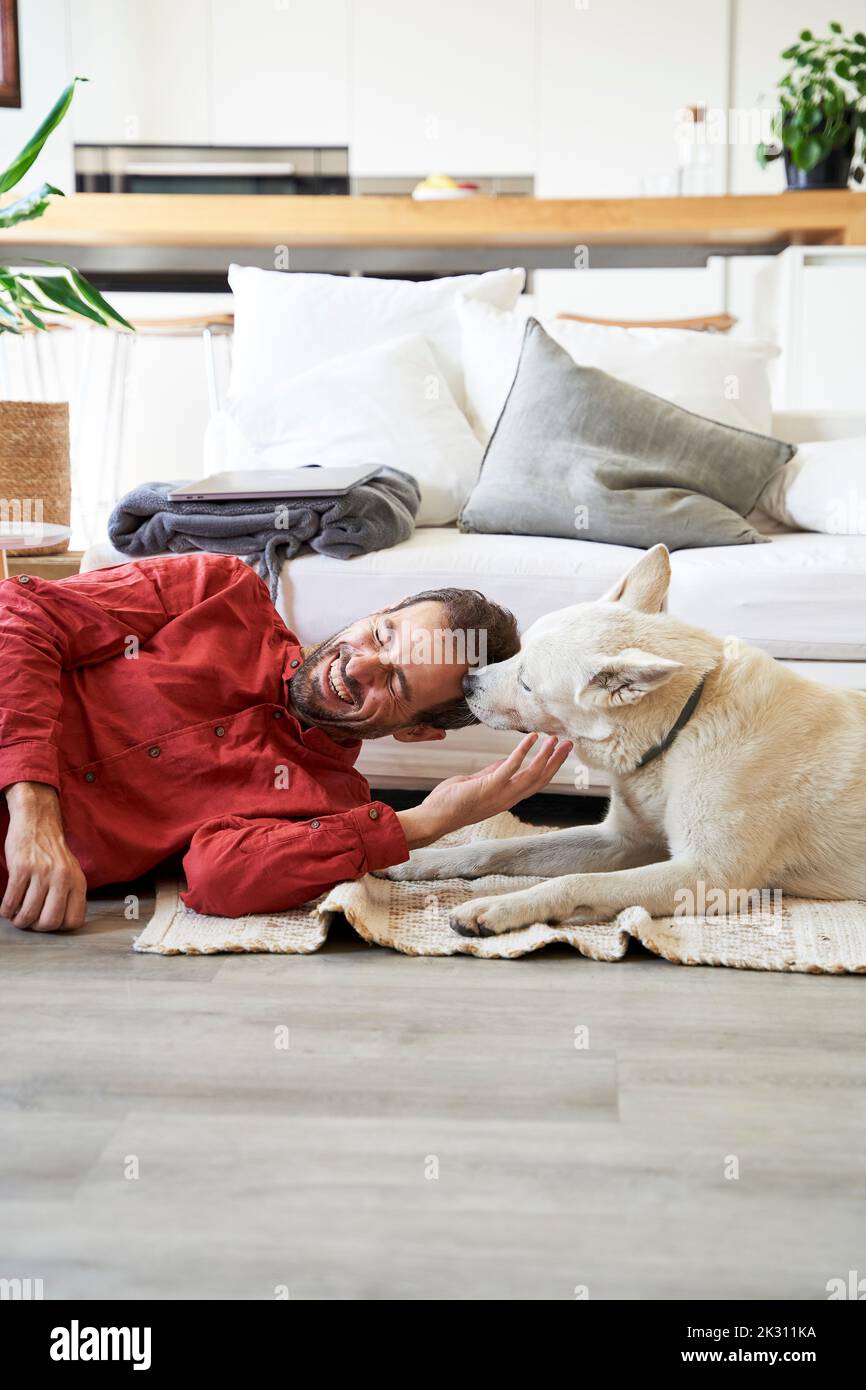 Dog licking face of happy owner Stock Photo - Alamy