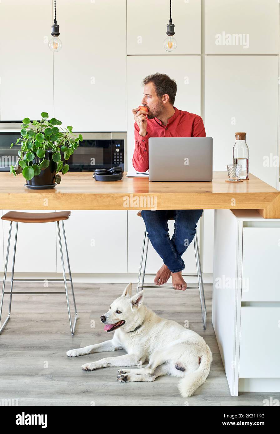 Freelancer sitting with laptop and eating apple at home Stock Photo - Alamy