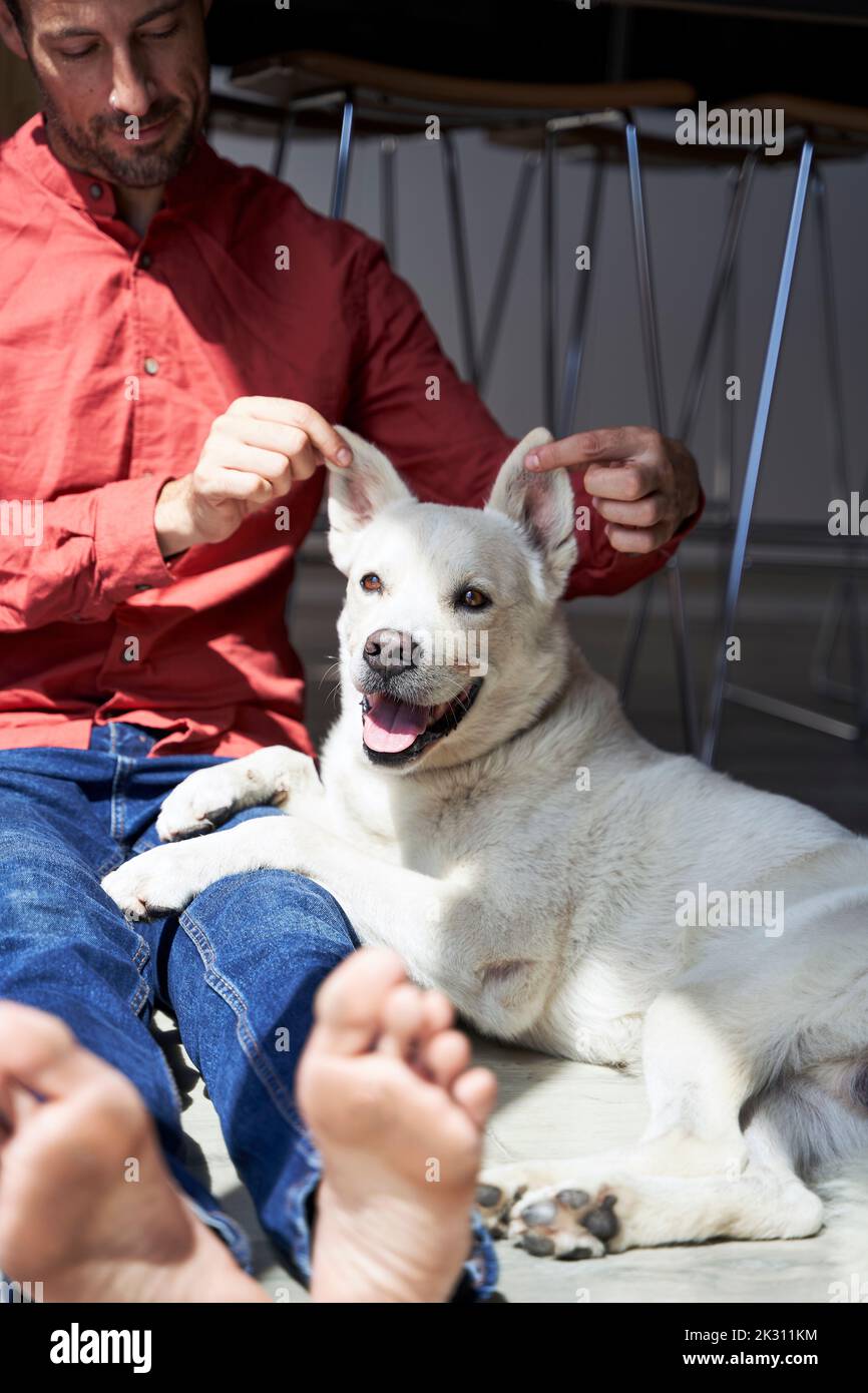 Dogs ears hi-res stock photography and images - Alamy