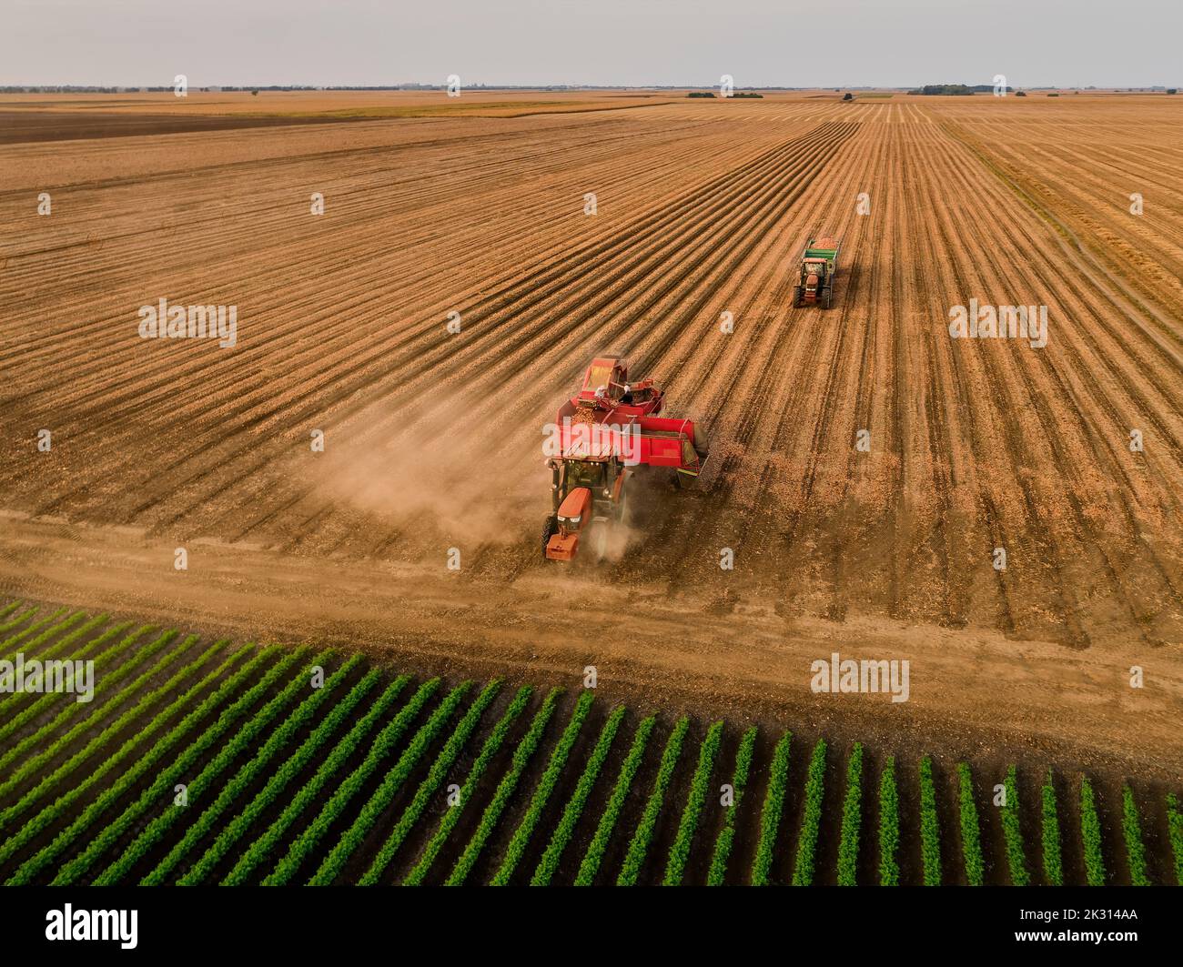Combine harvester in farm Stock Photo - Alamy