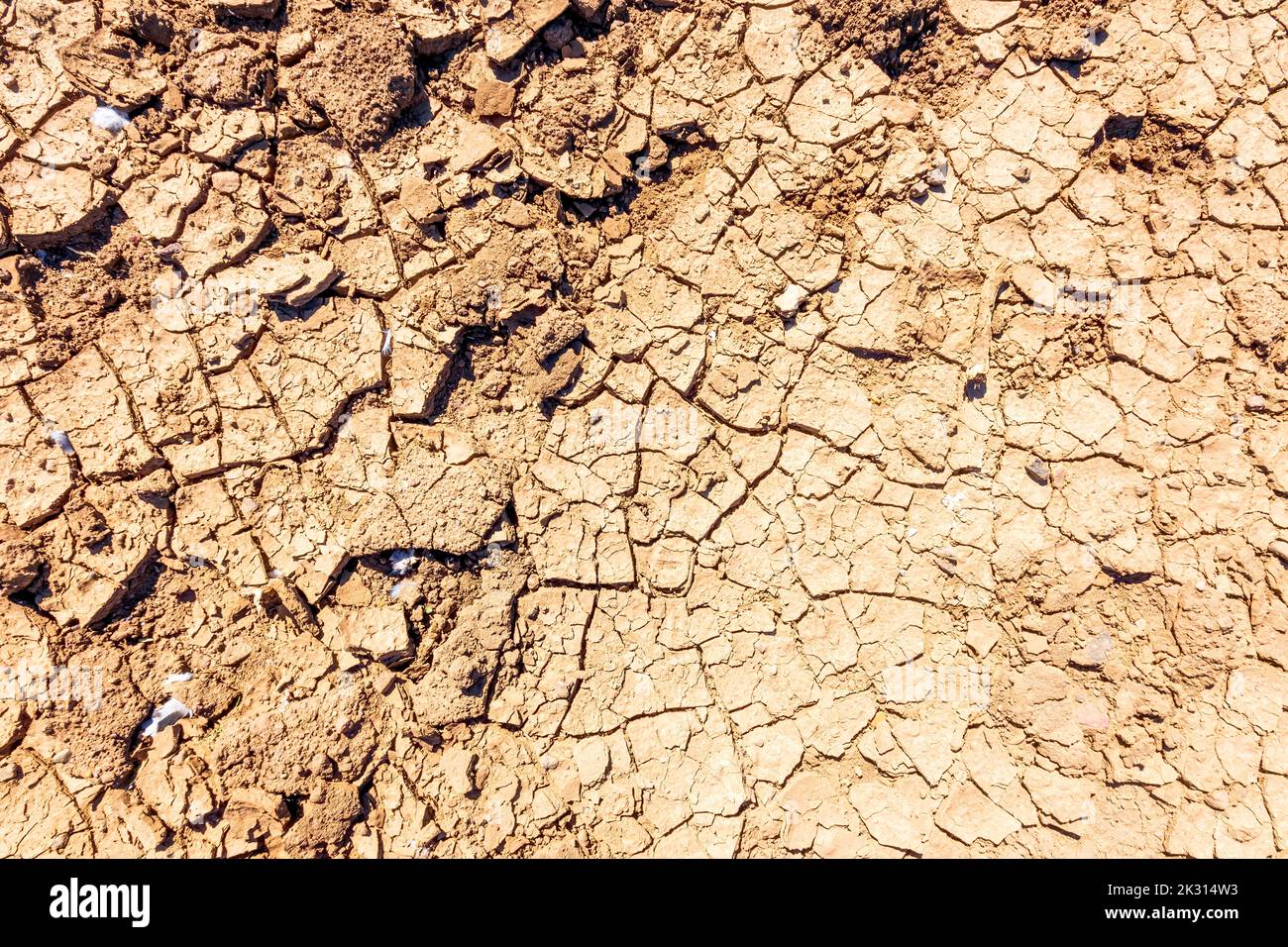 Close-up of dry barren soil Stock Photo - Alamy