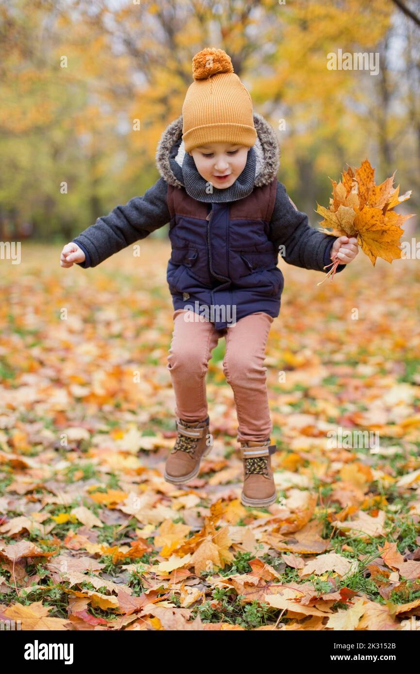 Playful boy holding autumn leaves jumping in park Stock Photo - Alamy