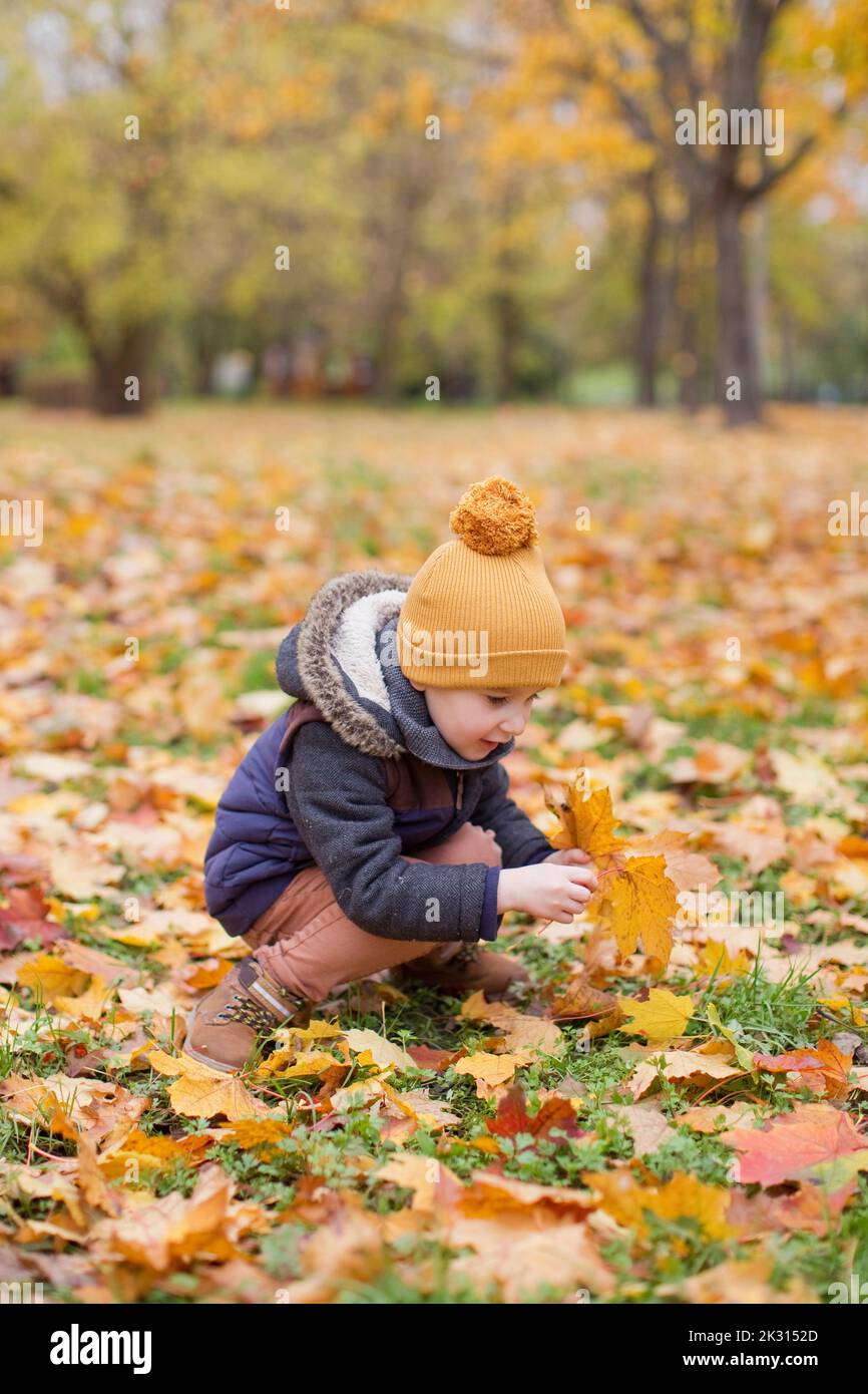 Boy in autumn clothes hi-res stock photography and images - Alamy