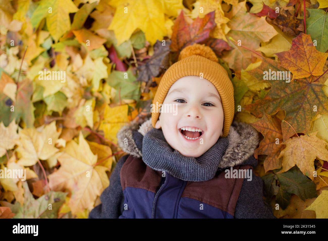 Happy boy lying on autumn leaves Stock Photo - Alamy