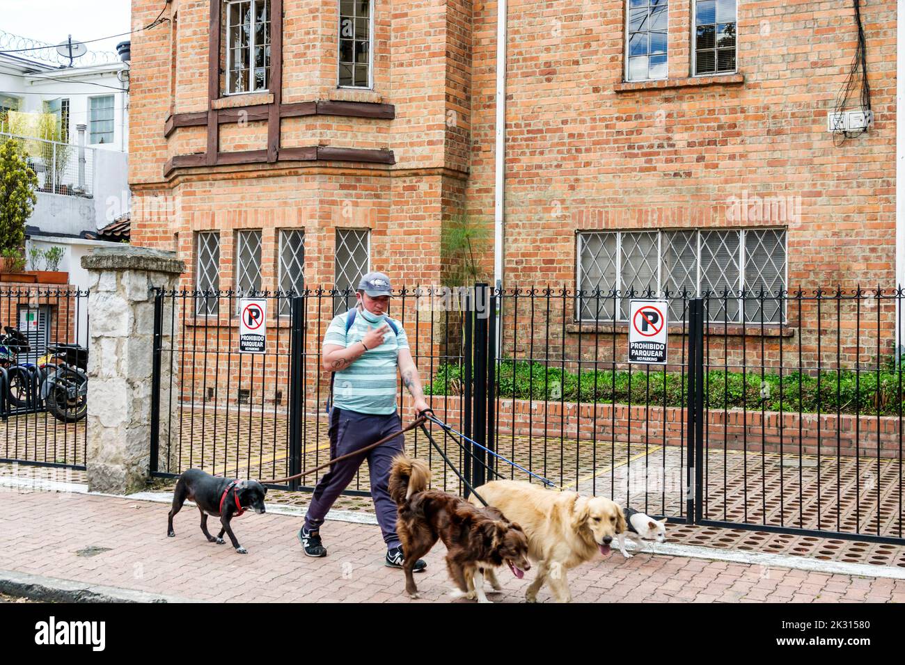 Bogota Colombia,Chapinero Norte Calle 67,professional dogwalker dogs ...