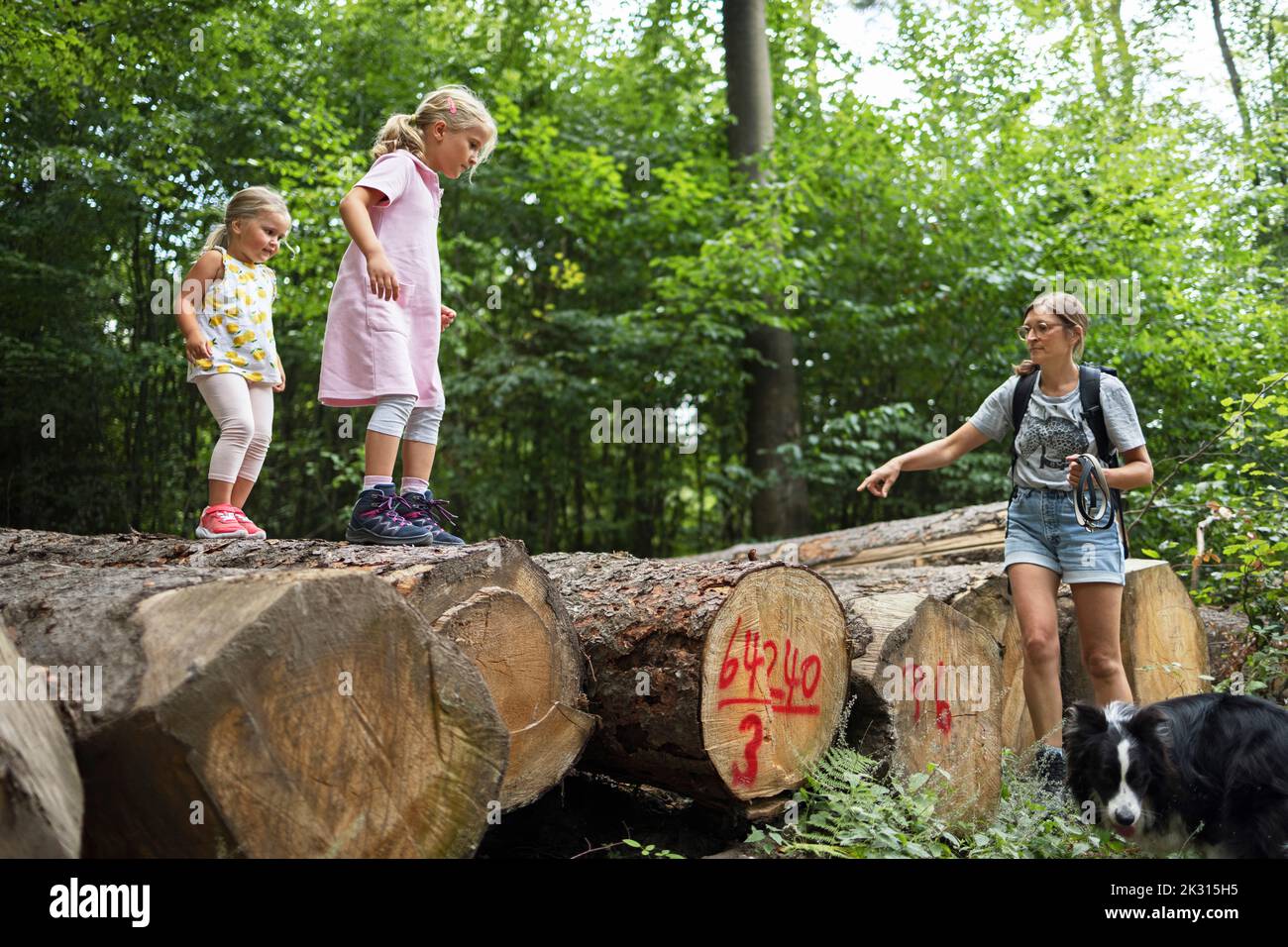 Freedom guiding the people hi-res stock photography and images - Alamy