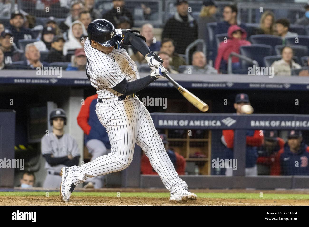 Error 2022 hi-res stock photography and images - Alamy