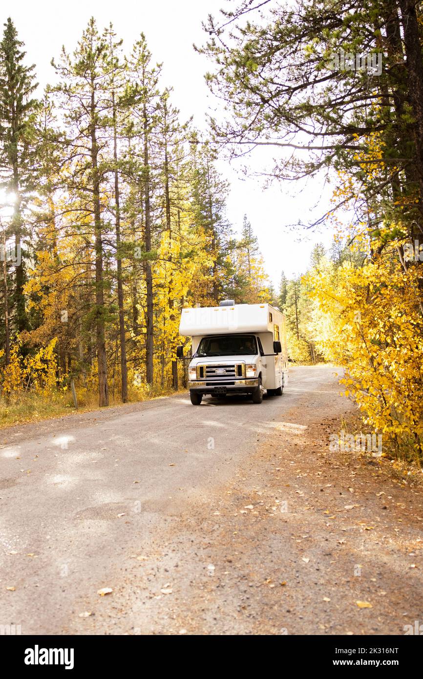 Driving through forest hi-res stock photography and images - Alamy