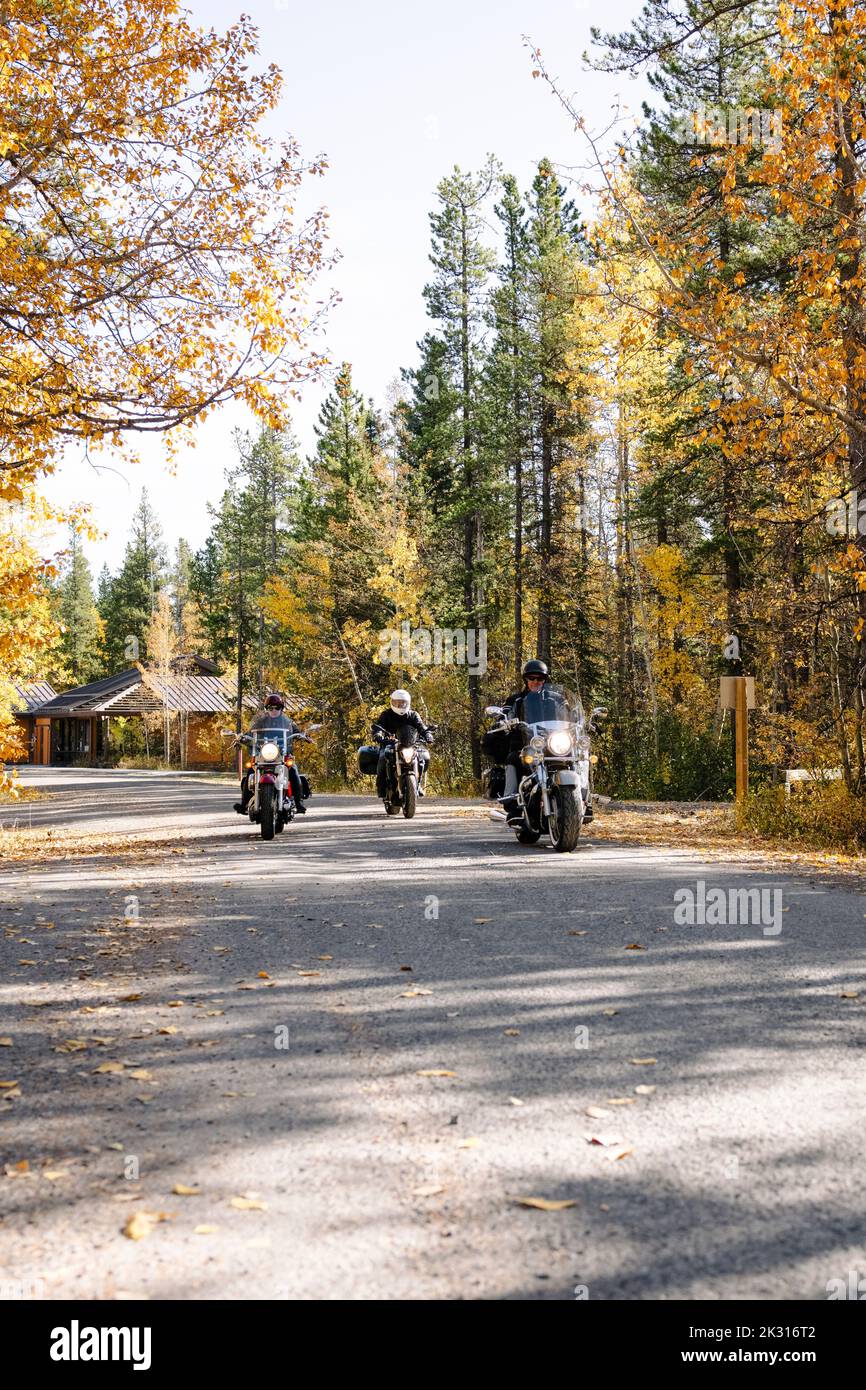 Motorbike through nature hi-res stock photography and images - Alamy