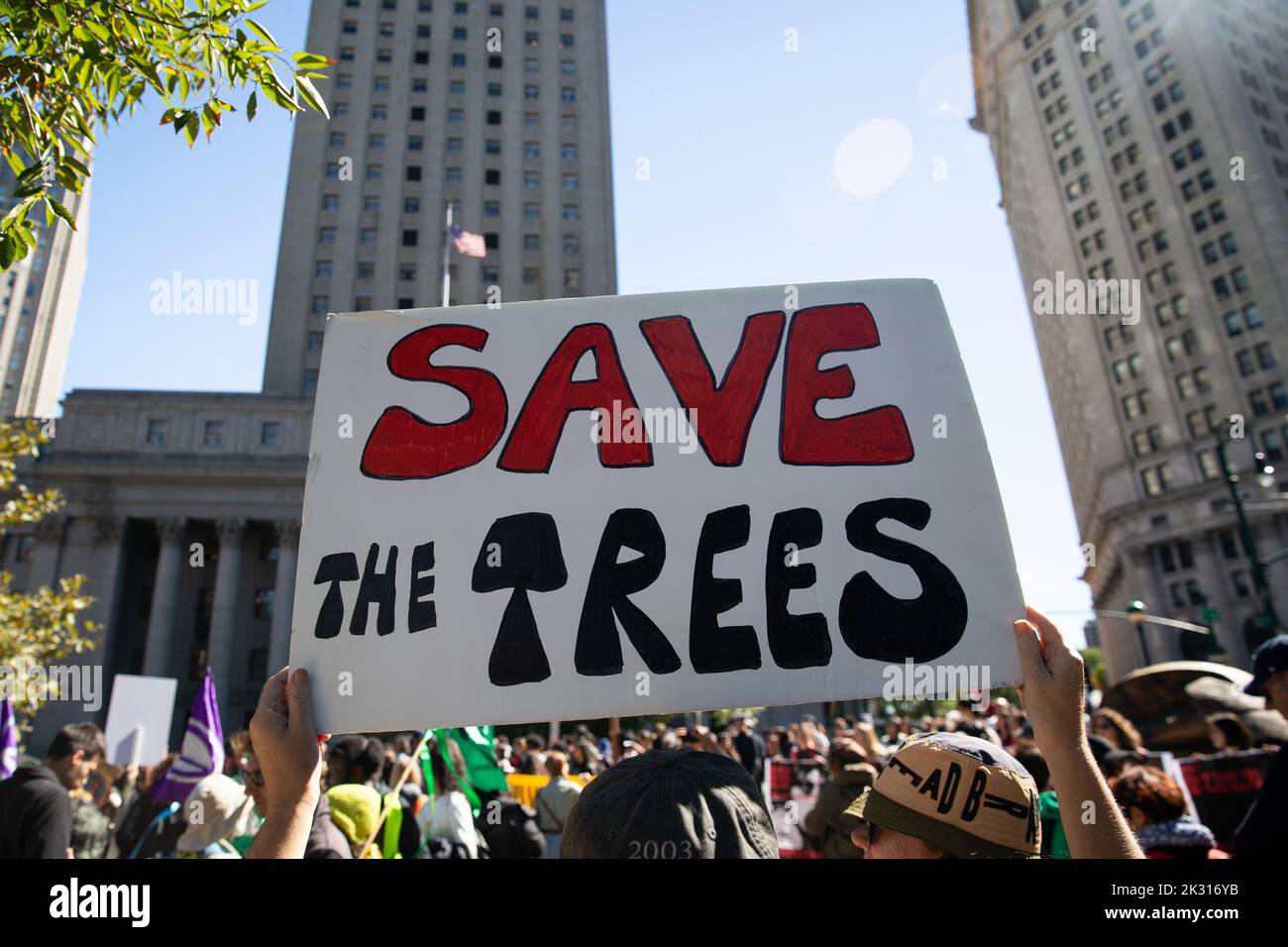 Save trees placard hi-res stock photography and images - Alamy