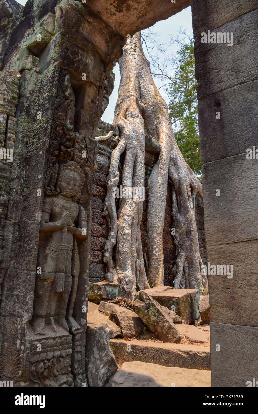 The Preah Khan temple complex situated at the northern edge of the ...