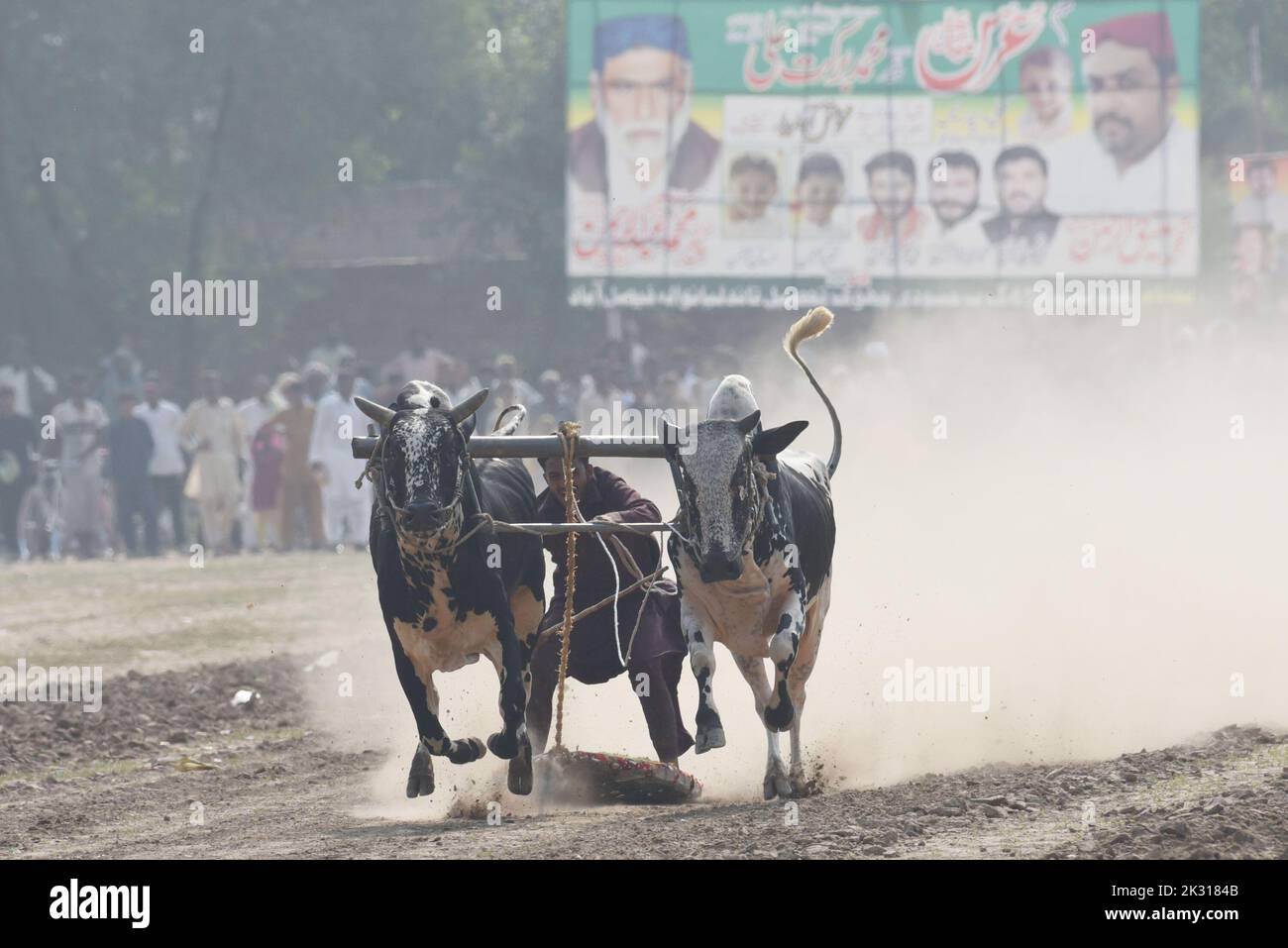 Noshahi hi-res stock photography and images - Alamy