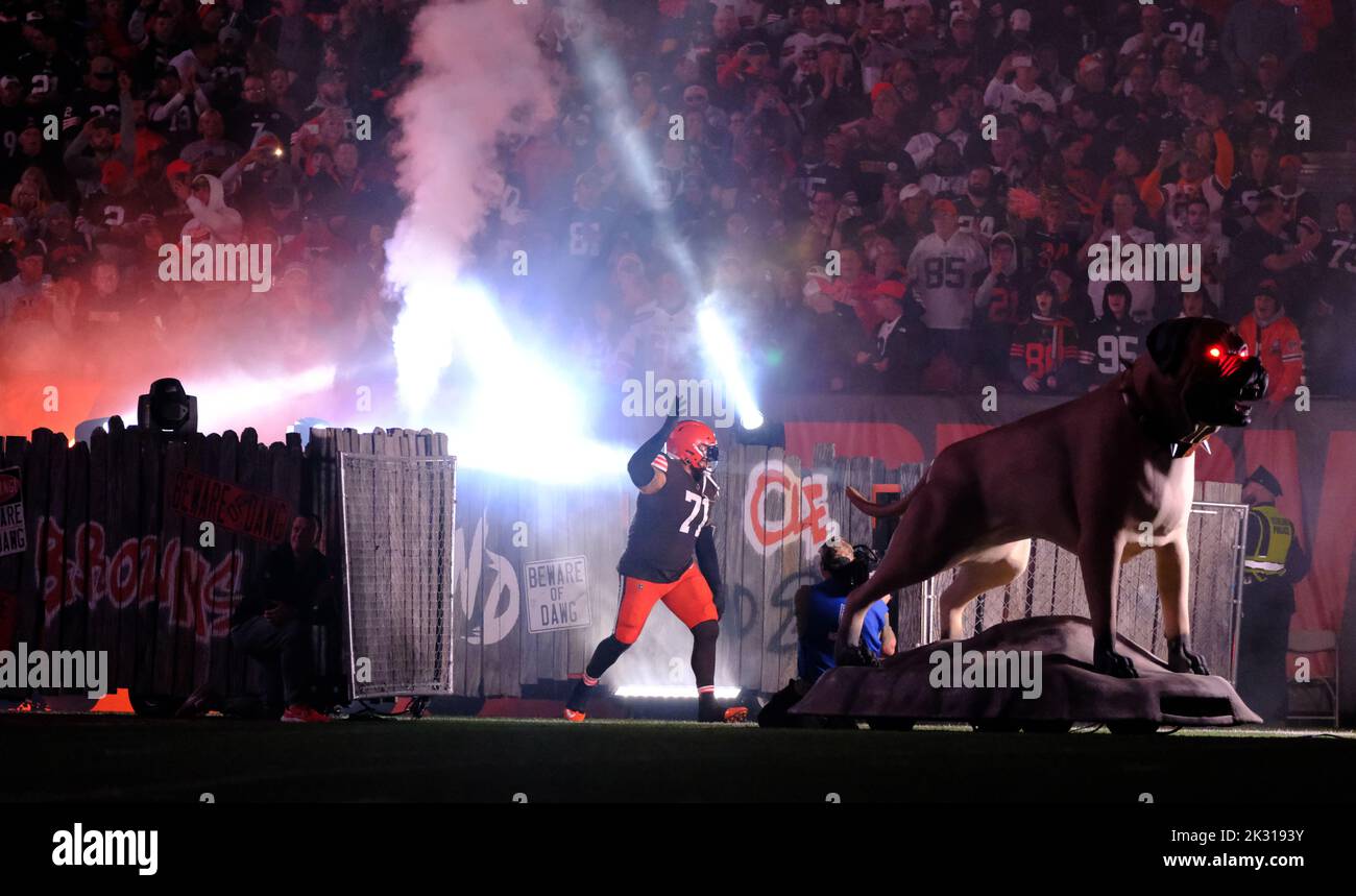 Jedrick wills hi-res stock photography and images - Alamy