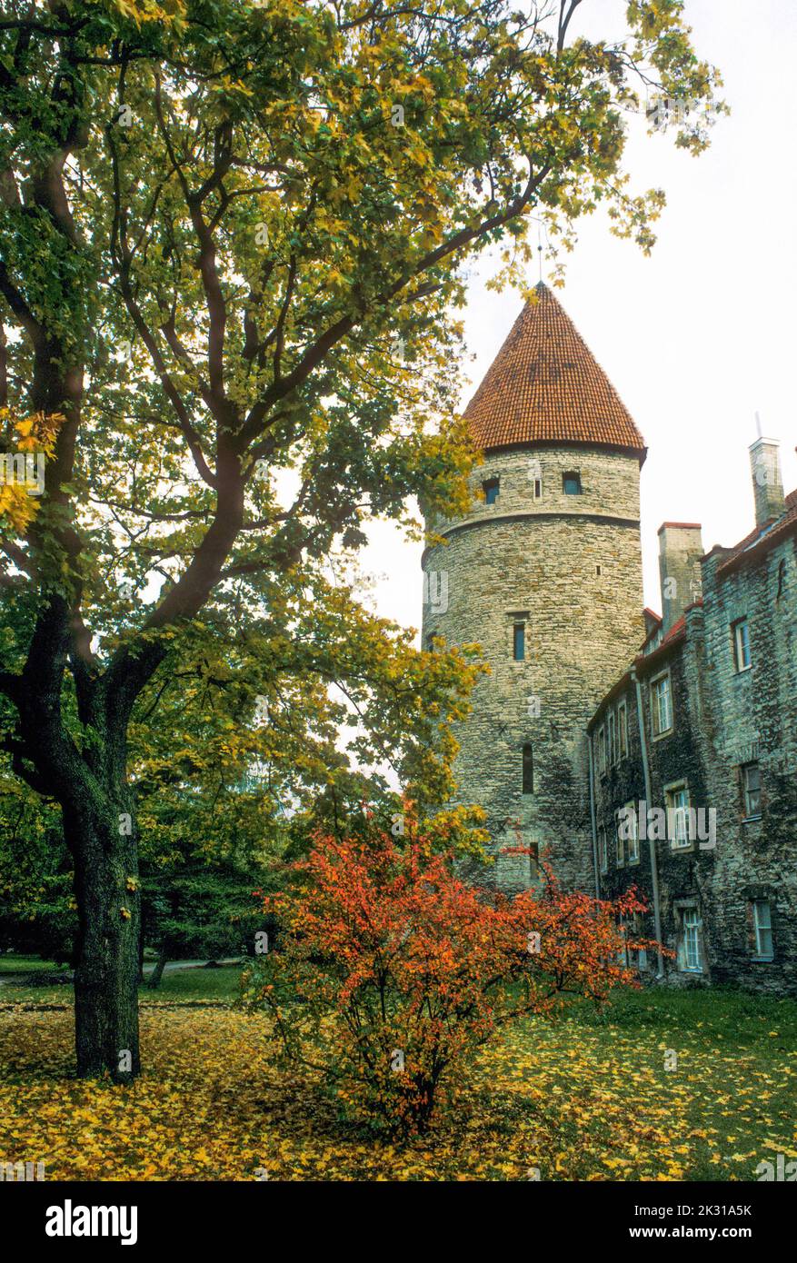 Tallinn, Estonia. Autumn colours (fall colors) beside the city wall ...