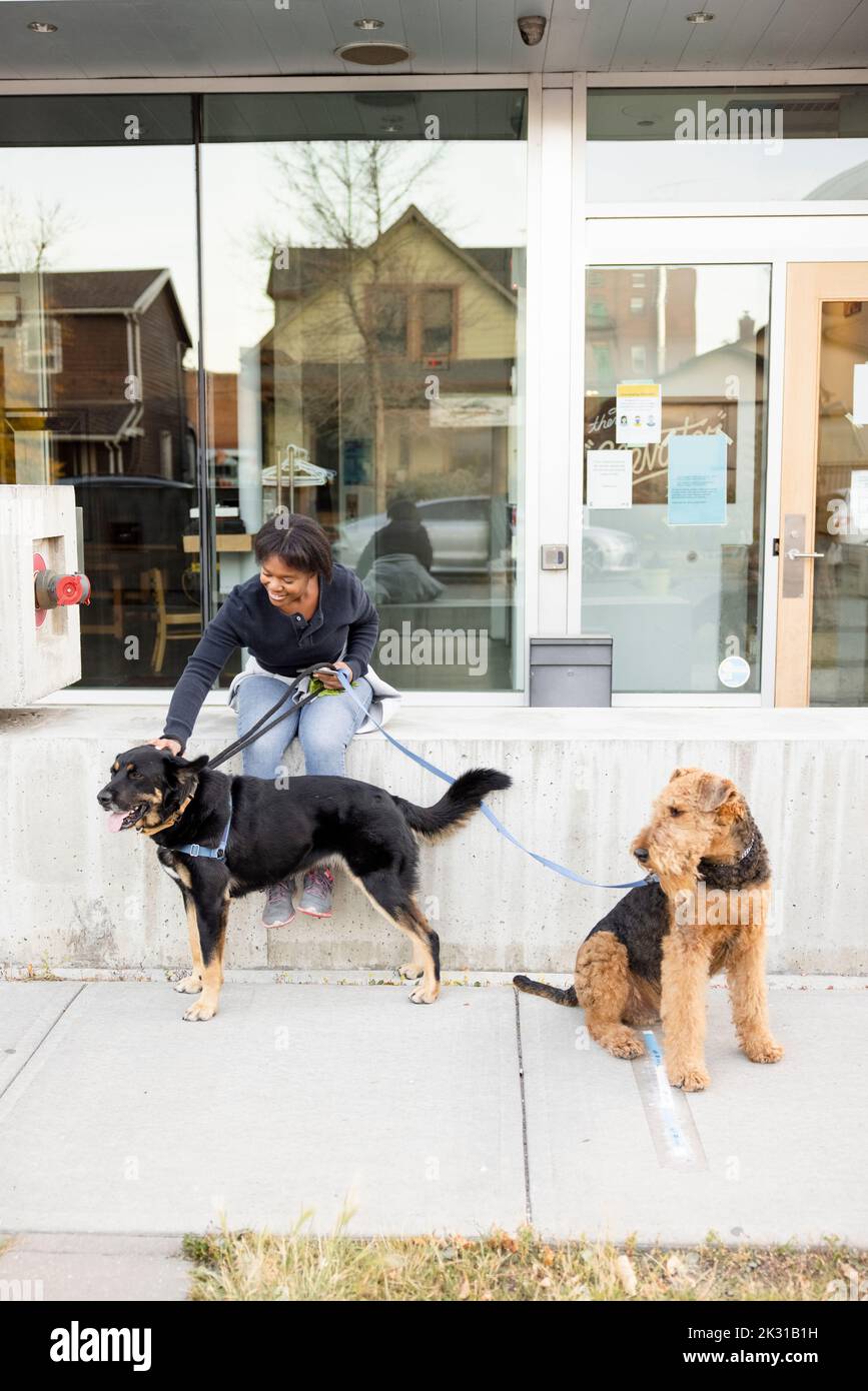 Dog dogs walker hi-res stock photography and images - Alamy