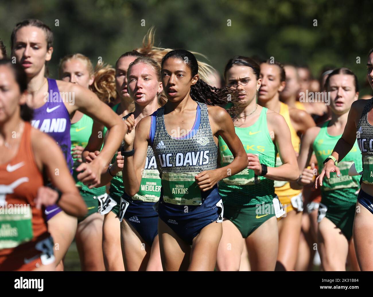 Cal media 1857 jpg hi-res stock photography and images - Alamy