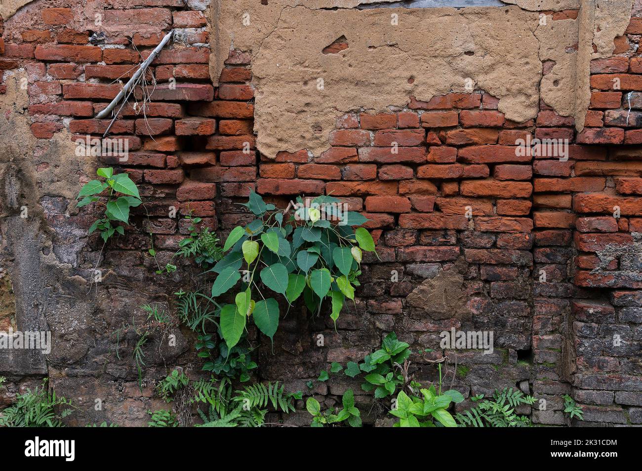 Howrah, West Bengal, India - 26th October 2020 : Old bricks and new ...