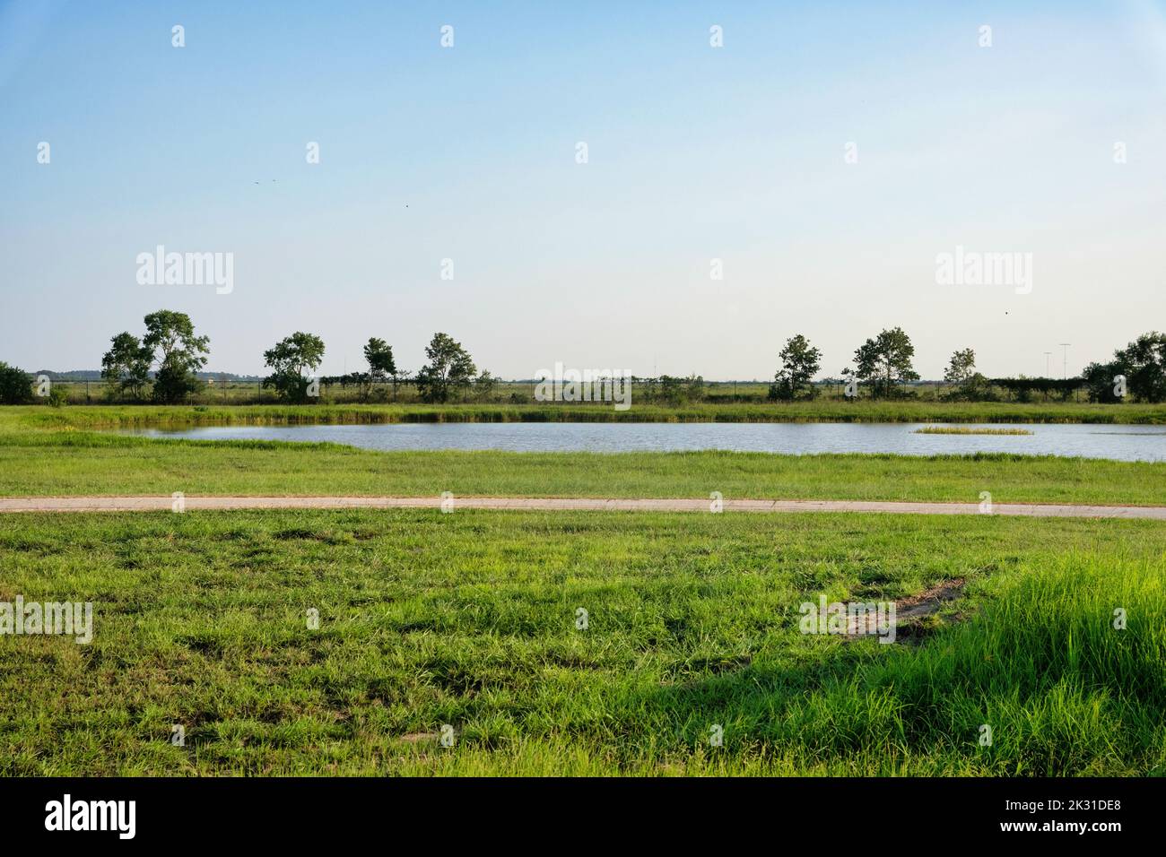 pond near grass field in texas Stock Photo - Alamy