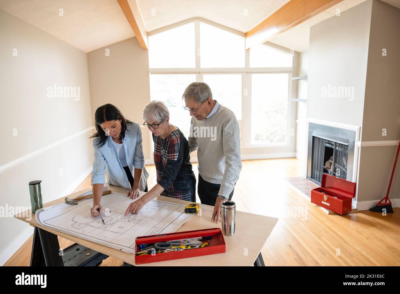 Home Renovation Architect