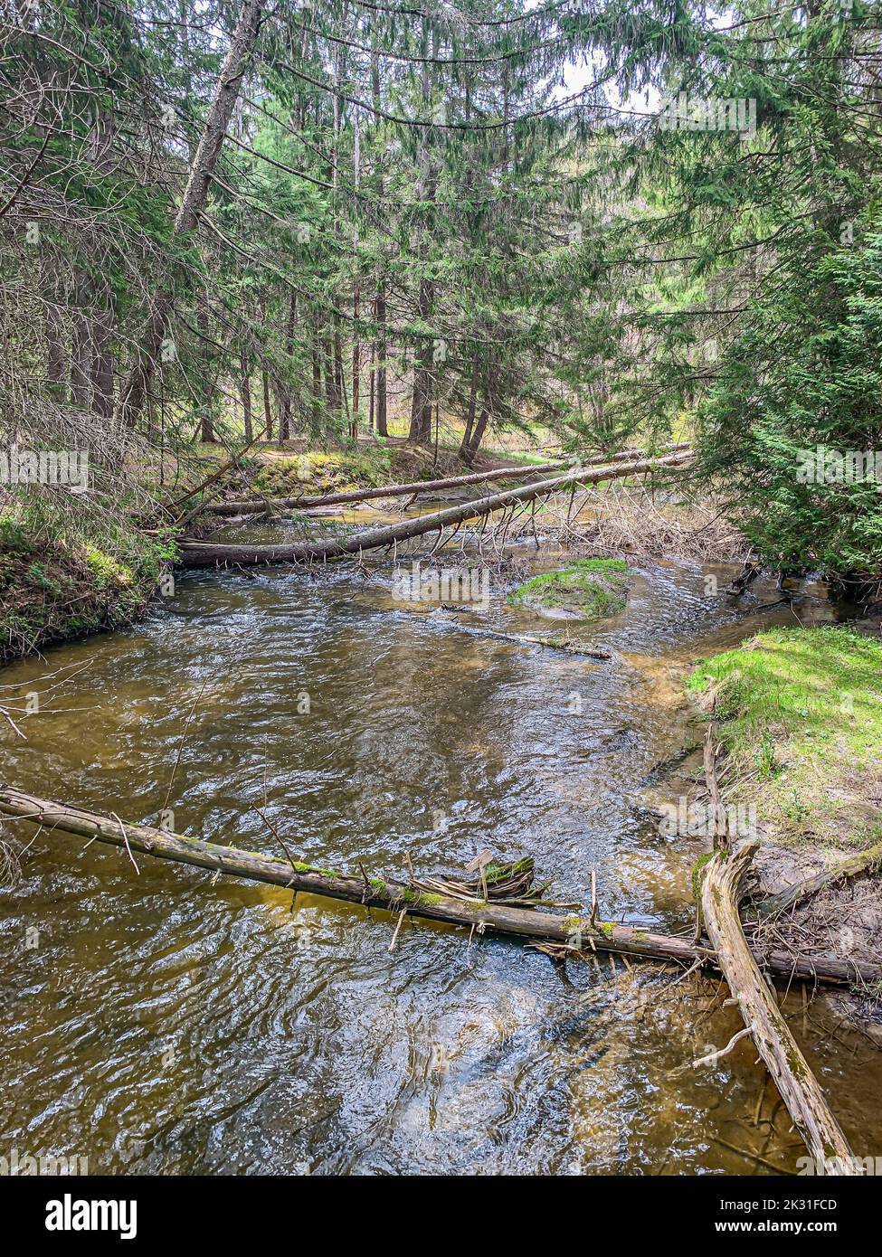 Toronto forest hi-res stock photography and images - Alamy