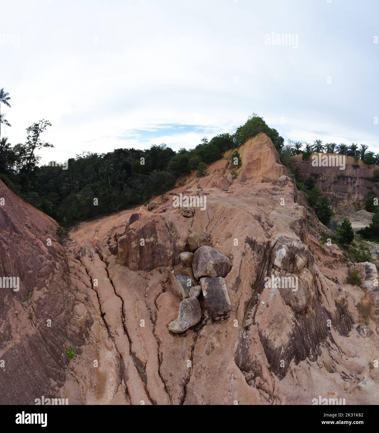 land erosion after deforestation of trees Stock Photo - Alamy
