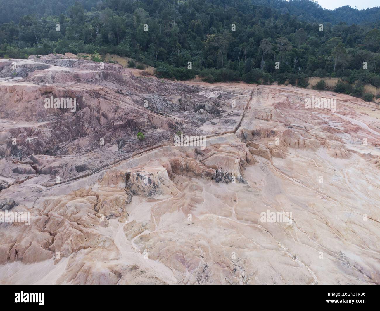 land erosion after deforestation of trees Stock Photo - Alamy