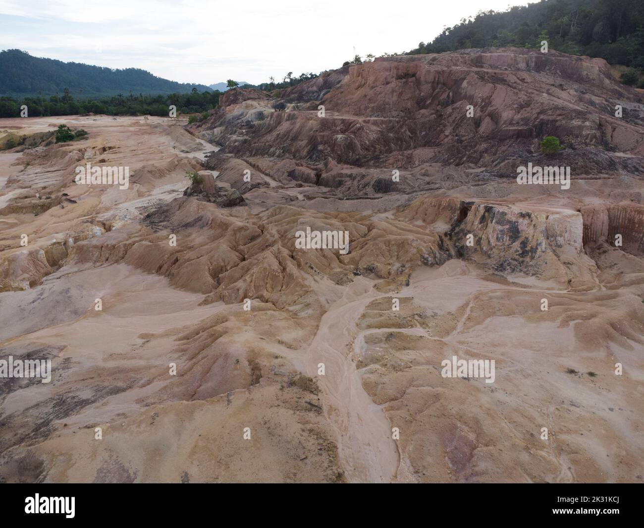 Soil Erosion Deforestation