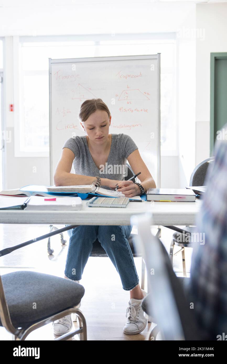 Teenage girl homework study hi-res stock photography and images - Alamy