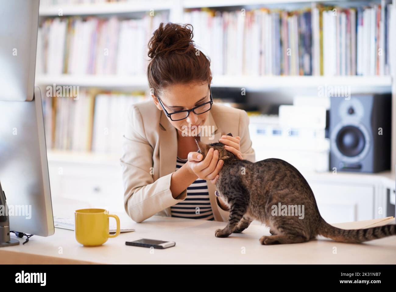 Mixing business with pleasure. an attractive young woman enjoying a cuddle with her cat while ...