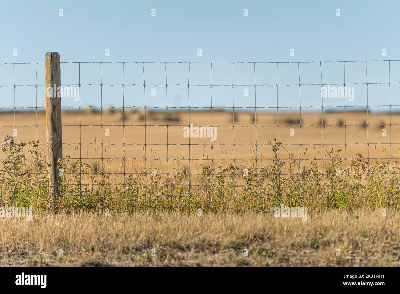 wire fence with farm fields behind it Stock Photo - Alamy