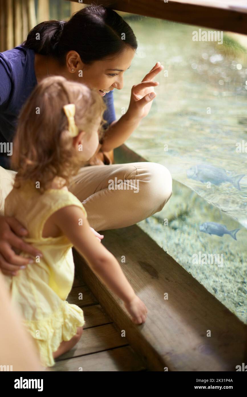 Mother of all fish hi-res stock photography and images - Alamy