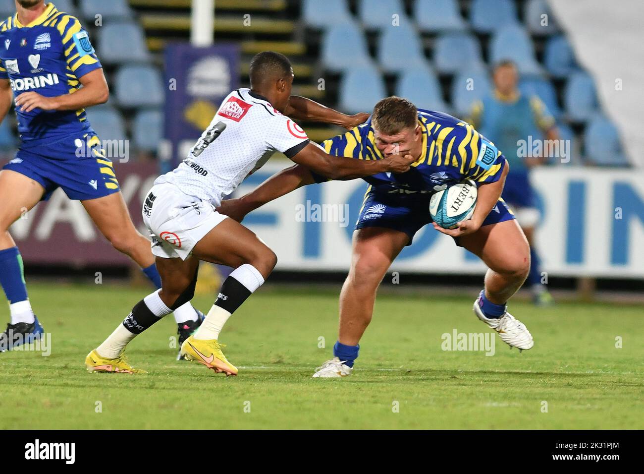 Grant williams sharks hi-res stock photography and images - Alamy