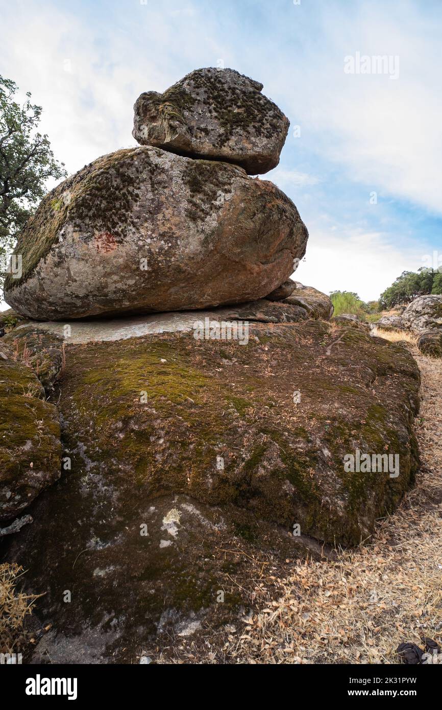 A vertical shot of huge granite rock pile with trees in the background ...