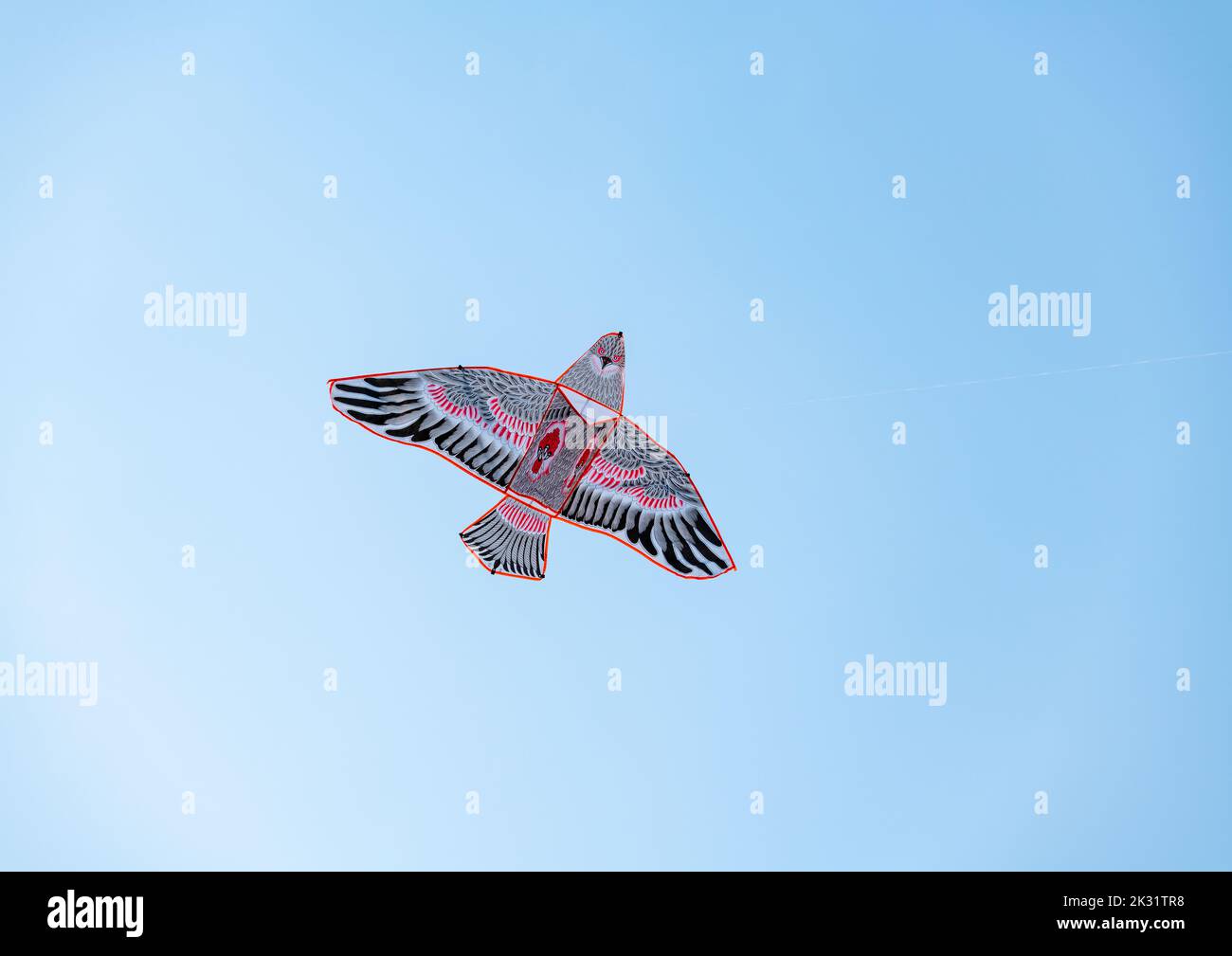 Chinese bird kite hi-res stock photography and images - Alamy