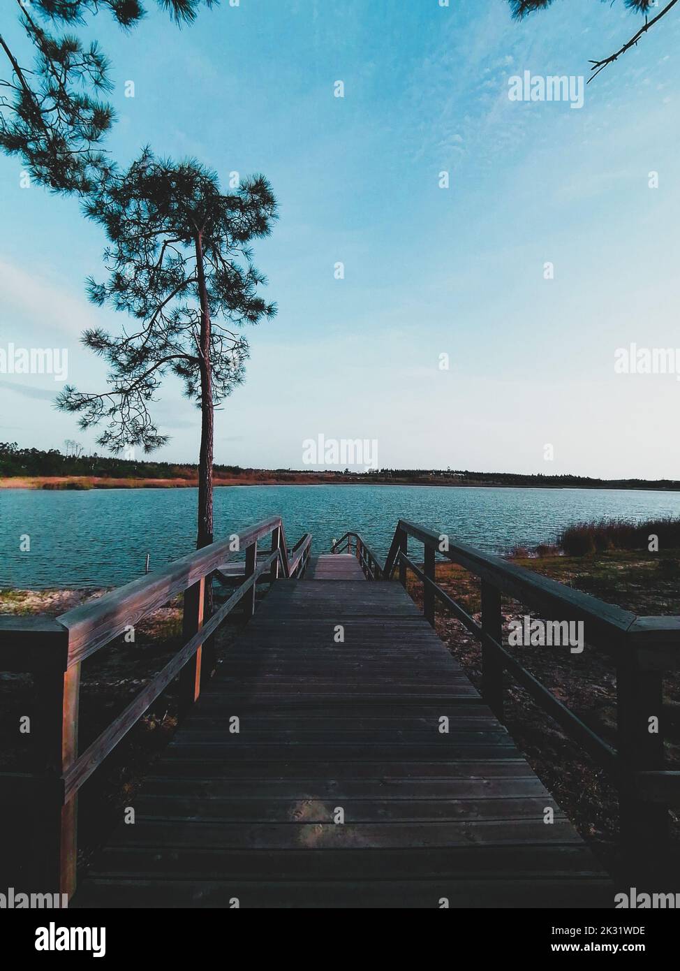 A vertical shot of a wooden dock with a blue lake in the background in ...