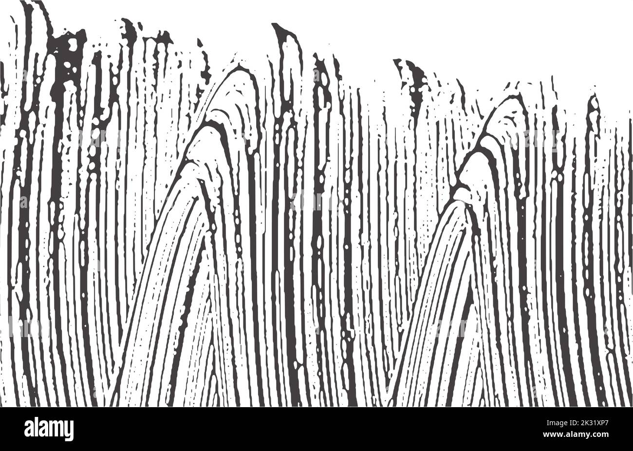 Grunge texture. Distress black grey rough trace. Alive background ...