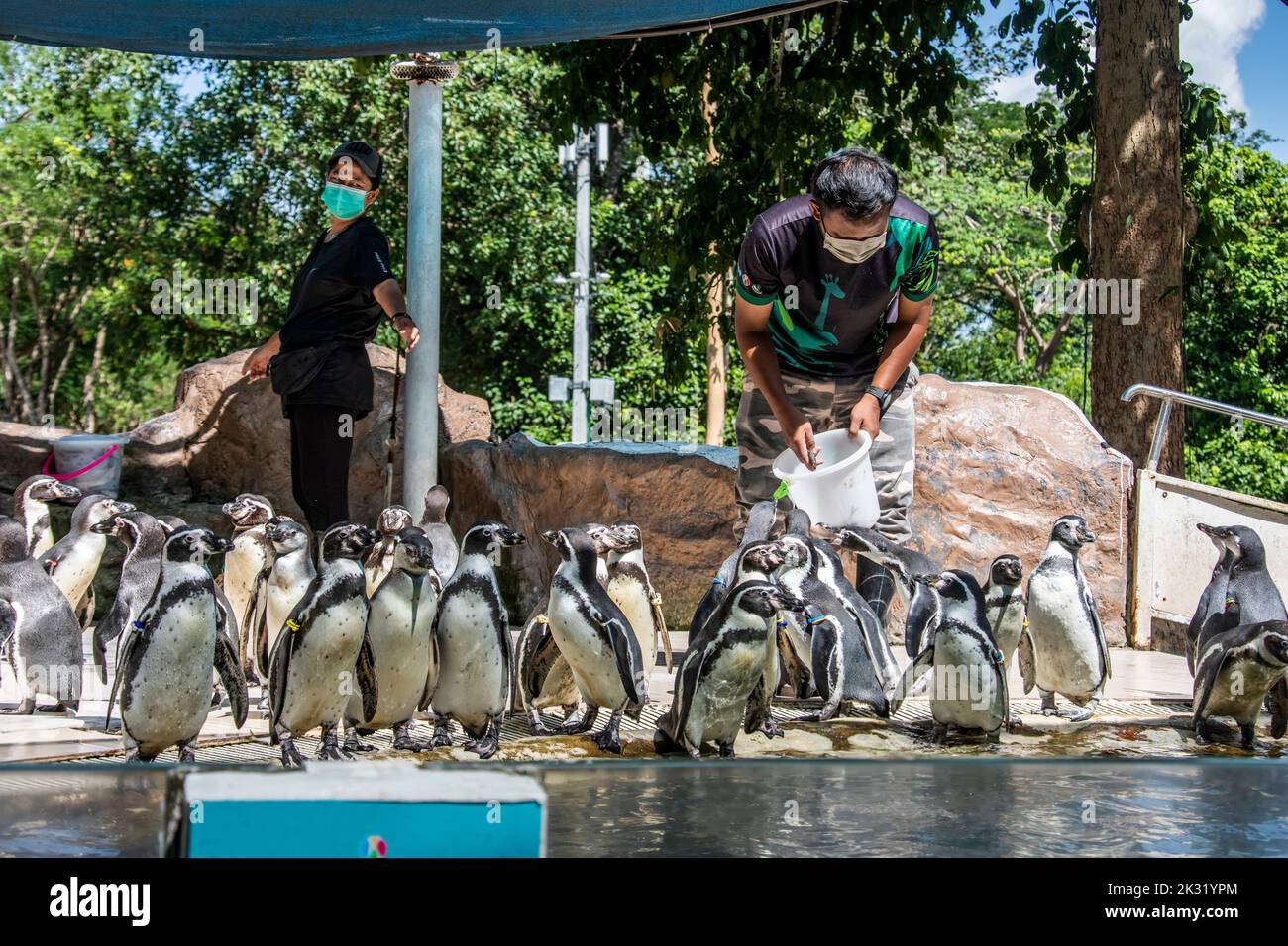Kids feeding penguin hi-res stock photography and images - Alamy