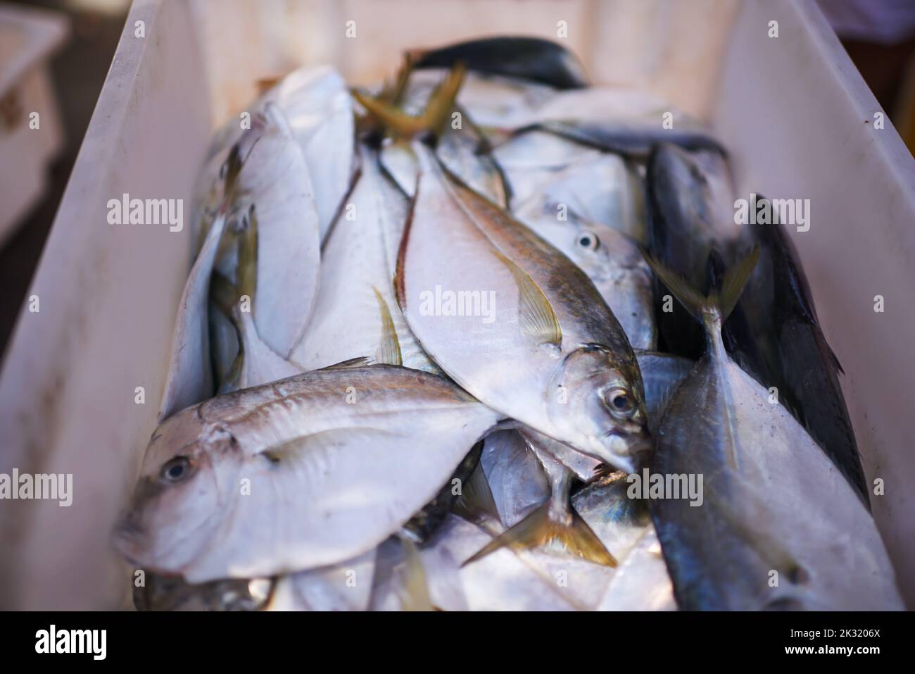Fish container hi-res stock photography and images - Alamy