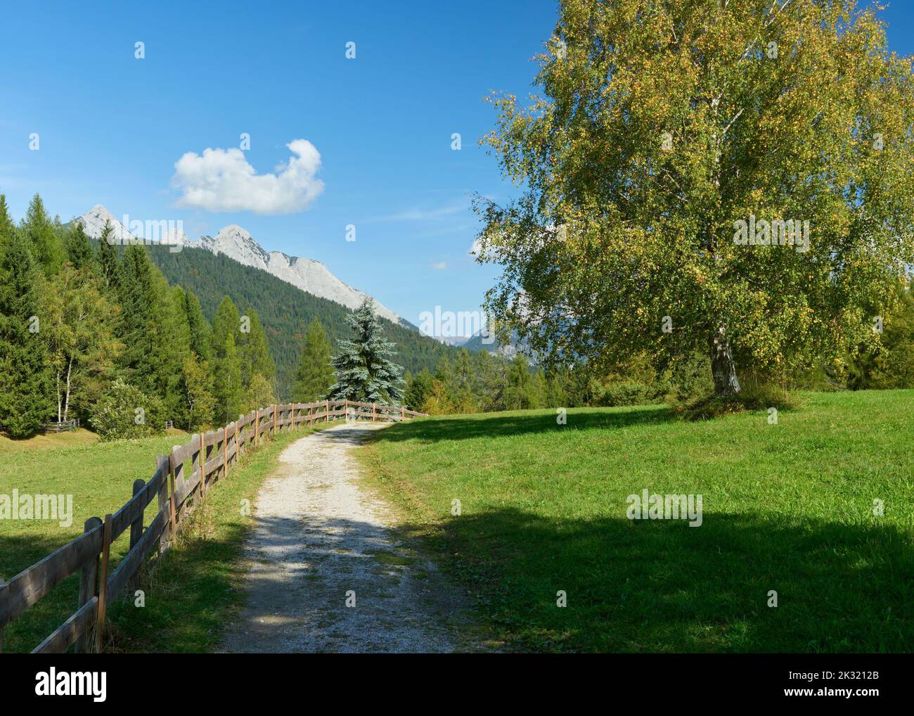 An aerial view of Hohe Munde mountain landscape with path surrounded by ...