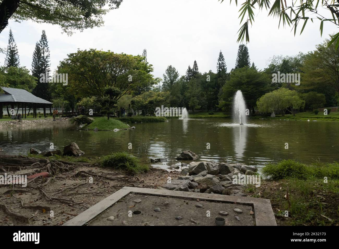 A Japanese garden with shallow pond surrounded by lush green plants in ...