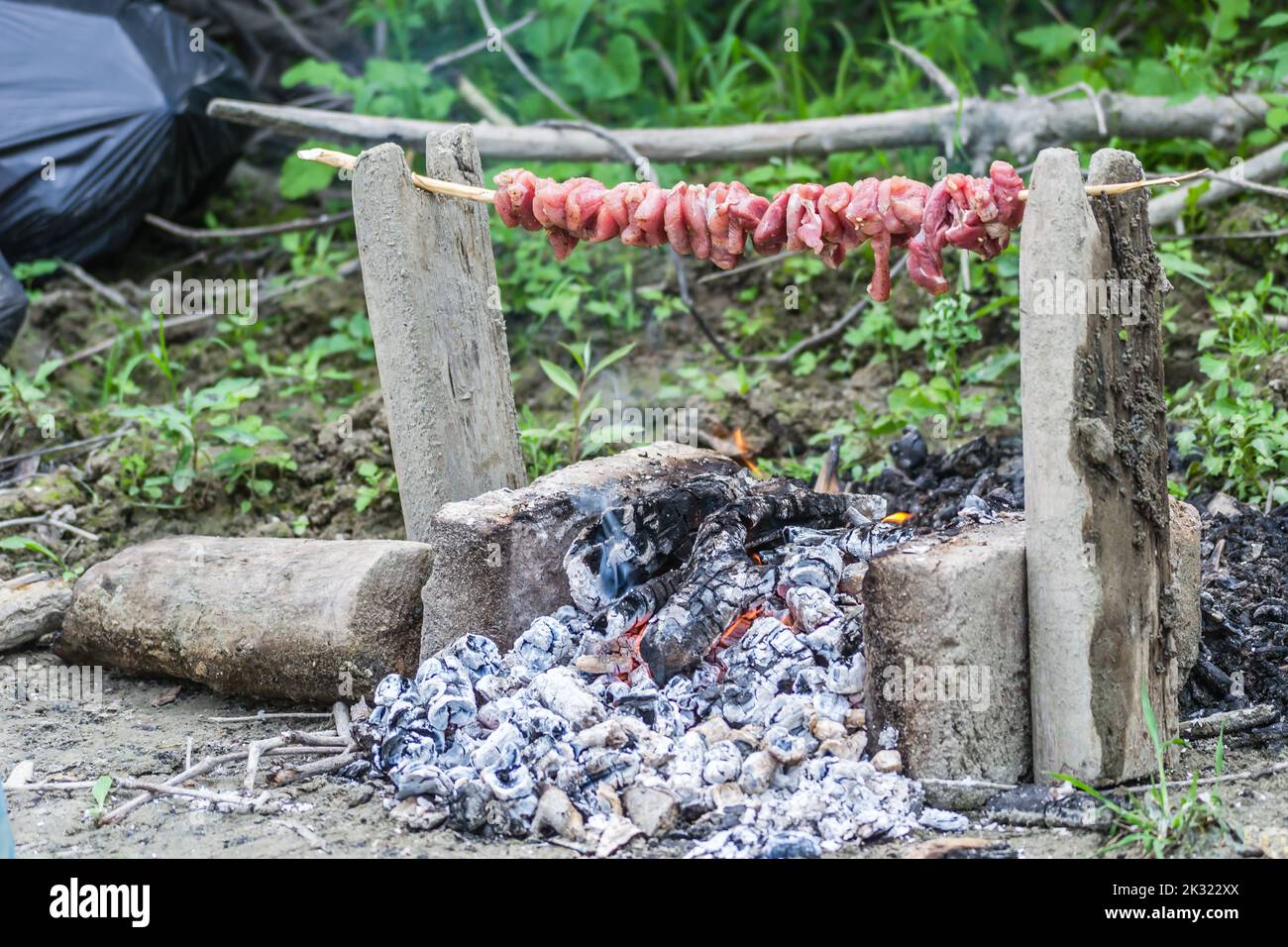 Meat prepared for roasting on a fire in nature. Meat ready for a picnic ...