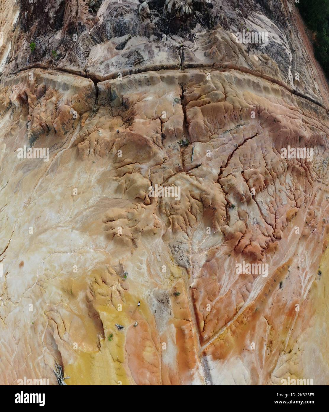 land erosion after deforestation of trees Stock Photo - Alamy